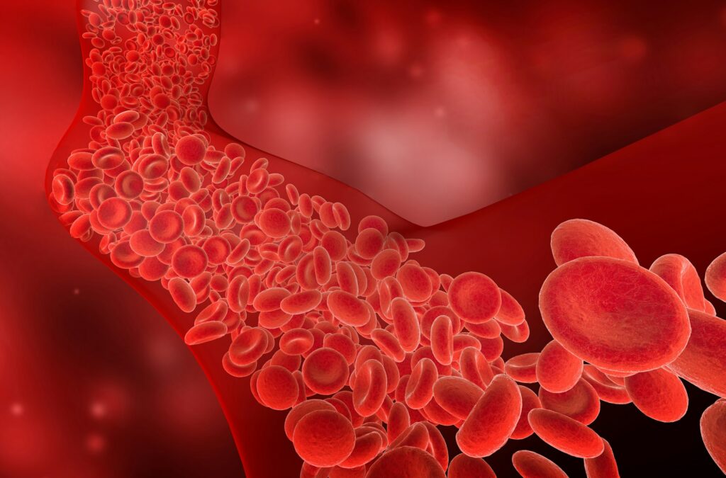 How to Increase Blood Flow: Essential Tips to Boost Your Circulation ...